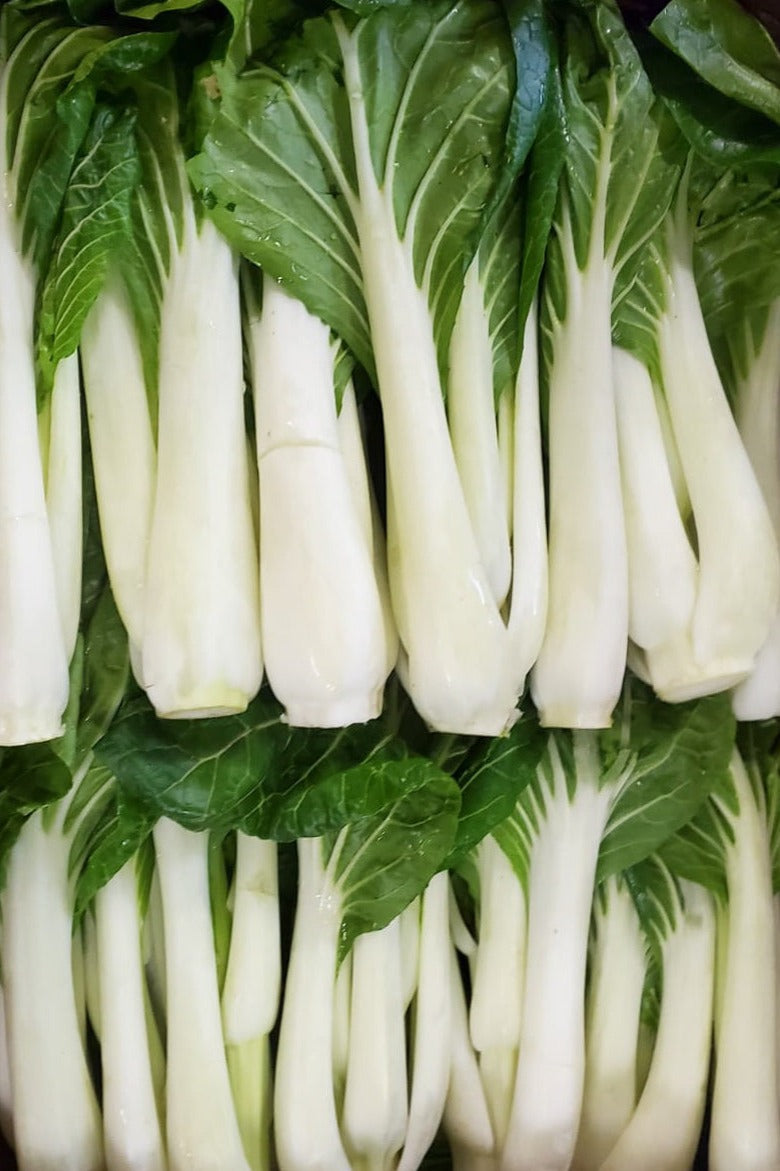 Long Bok Choy – Always Green Corp