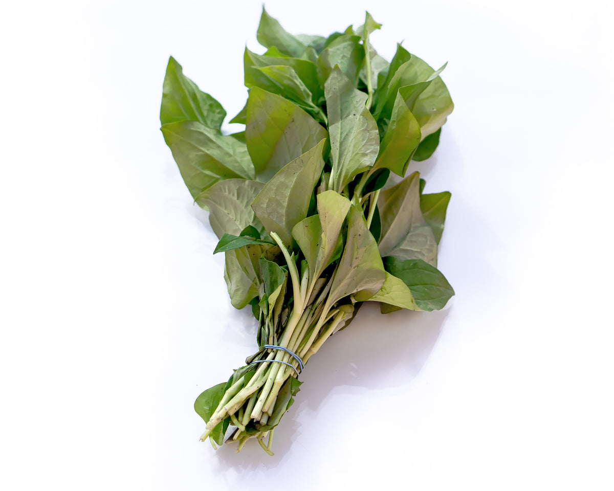 Dap Ca – Always Green Corp