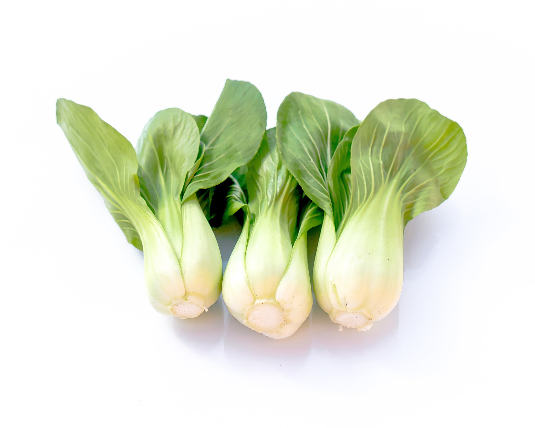 Shanghai Bok Choy Mui – Always Green Corp